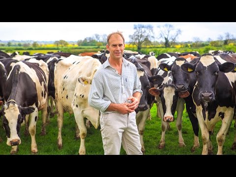 Cheese: The Art of Ripening at Neal's Yard Dairy