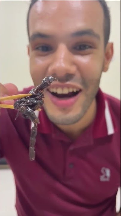 T9iwtat 18 7asharaaat Morocco Moroccanfood Maroc Maghrib Thailand Shorts Youtube