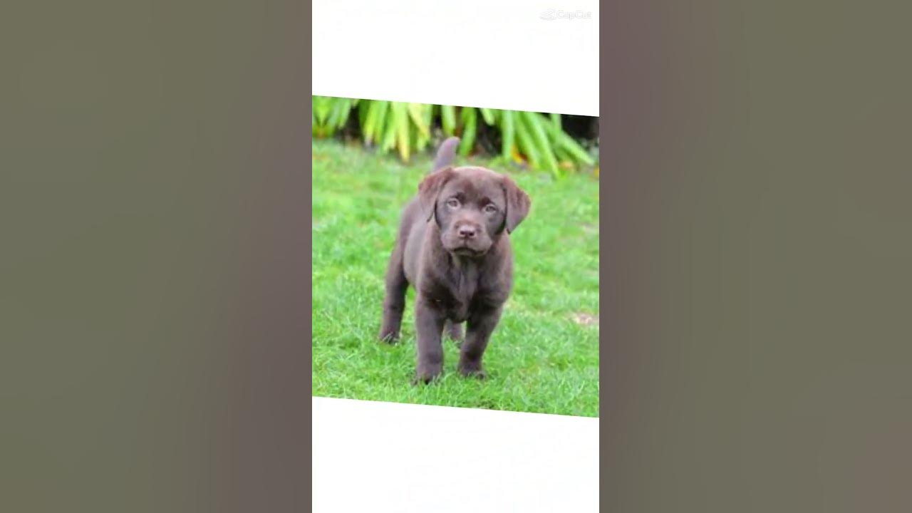 A Nice Edit YouTube a-nice-edit-youtube
