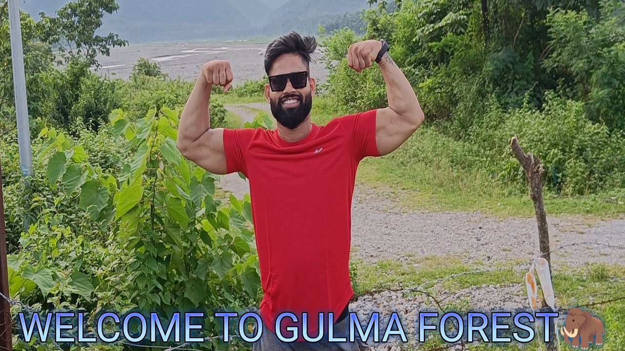 WELCOME TO GULMA FOREST 🌳🦣 - YouTube