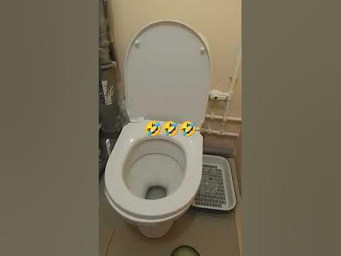 я хочу в туалет - YouTube