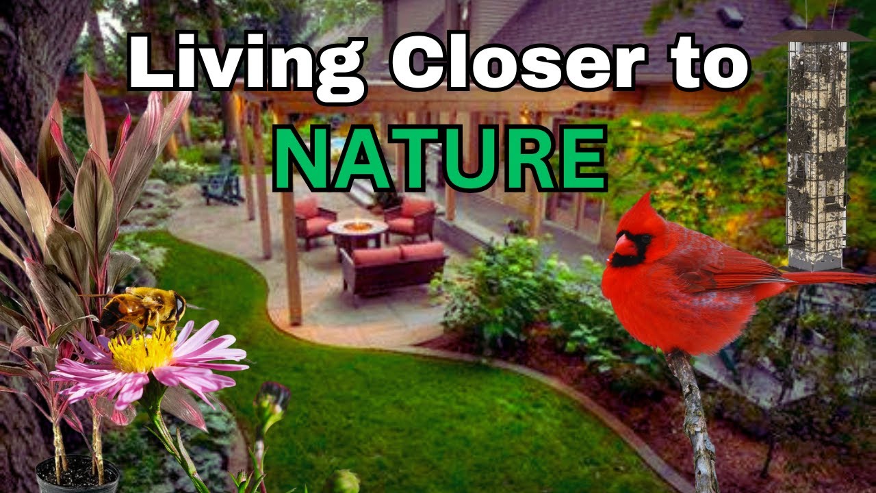 Living closer to Nature: It's EASIER than you think! - YouTube