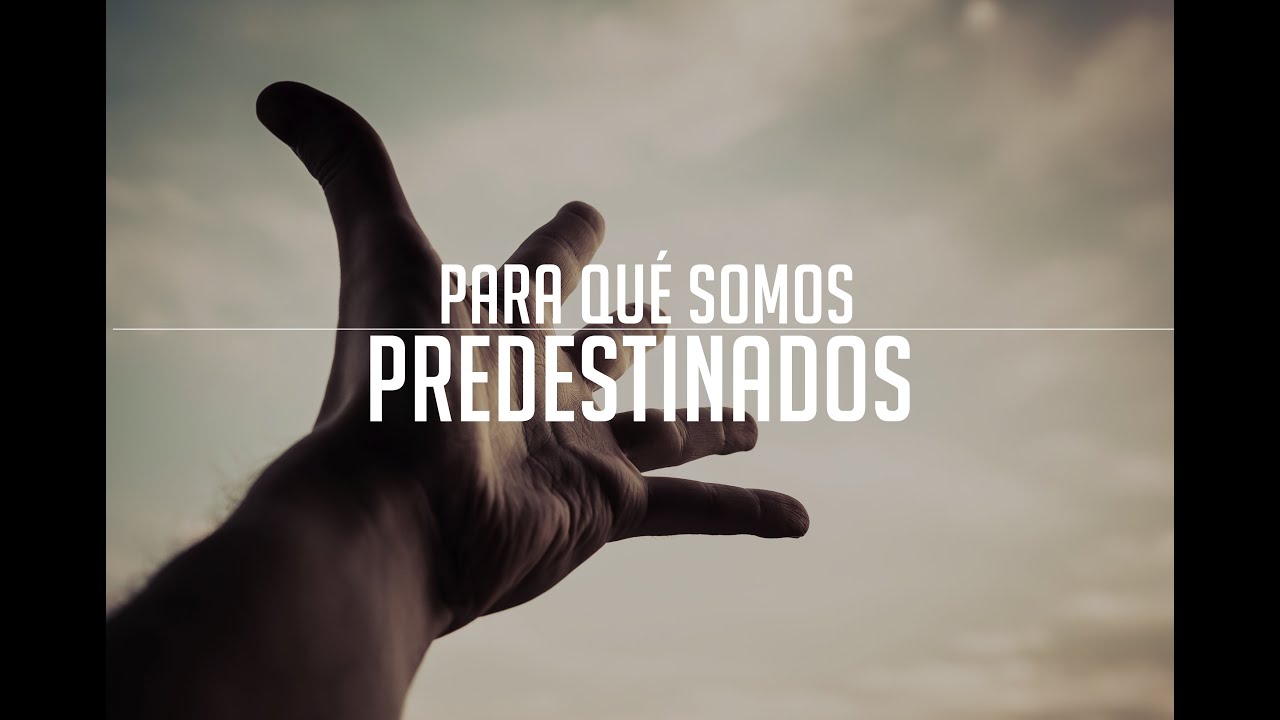 Para qué somos Predestinados - YouTube