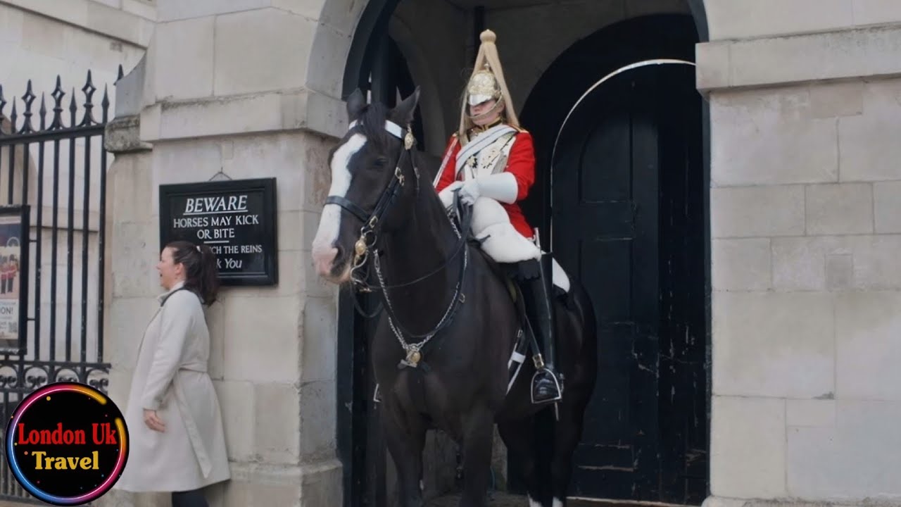 Lady King's Guard || Beautiful Horse || Horse Guards London - YouTube