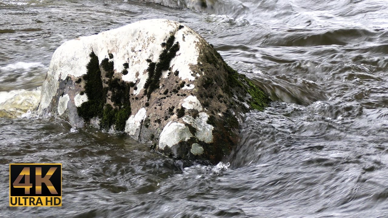 Tranquility in Stillness: The Soothing Serenity of Rocks - Relaxation ...