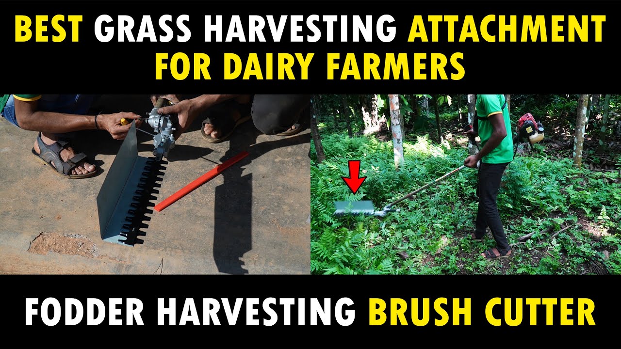 Grass Harvesting attachment For Brush Cutter Machine | Fodder / Napier ...