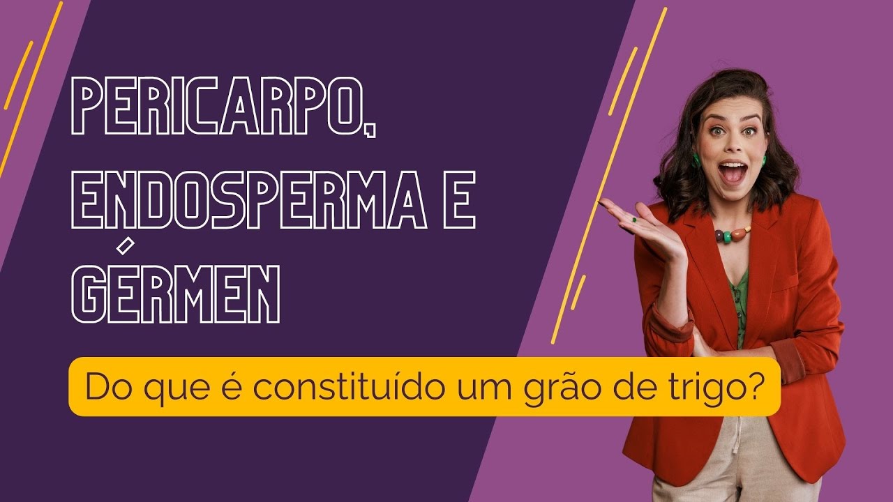 Pericarpo, Endosperma e Gérmen - Do que é constituído um grão de trigo ...