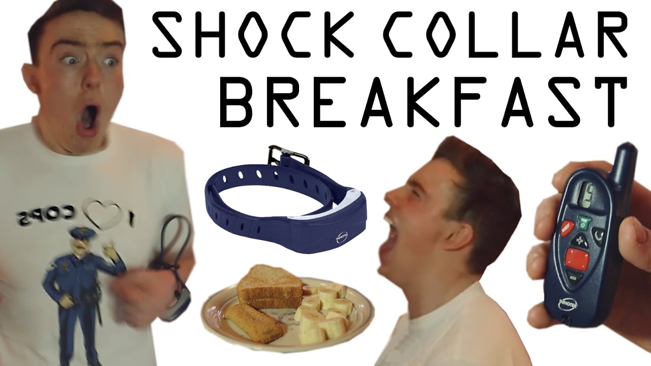 SHOCK COLLAR BREAKFAST - YouTube