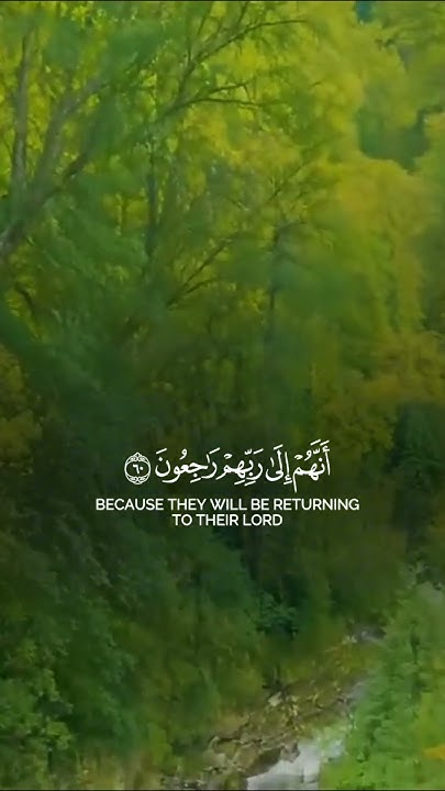 إن الذين قالوا ربنا الله ثم استقاموا تنزل عليهم الملائكة ألا تخافوا ولا