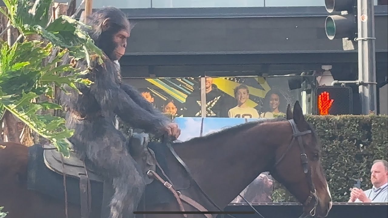 These Horseback Riding Ape look so amazingly real - YouTube