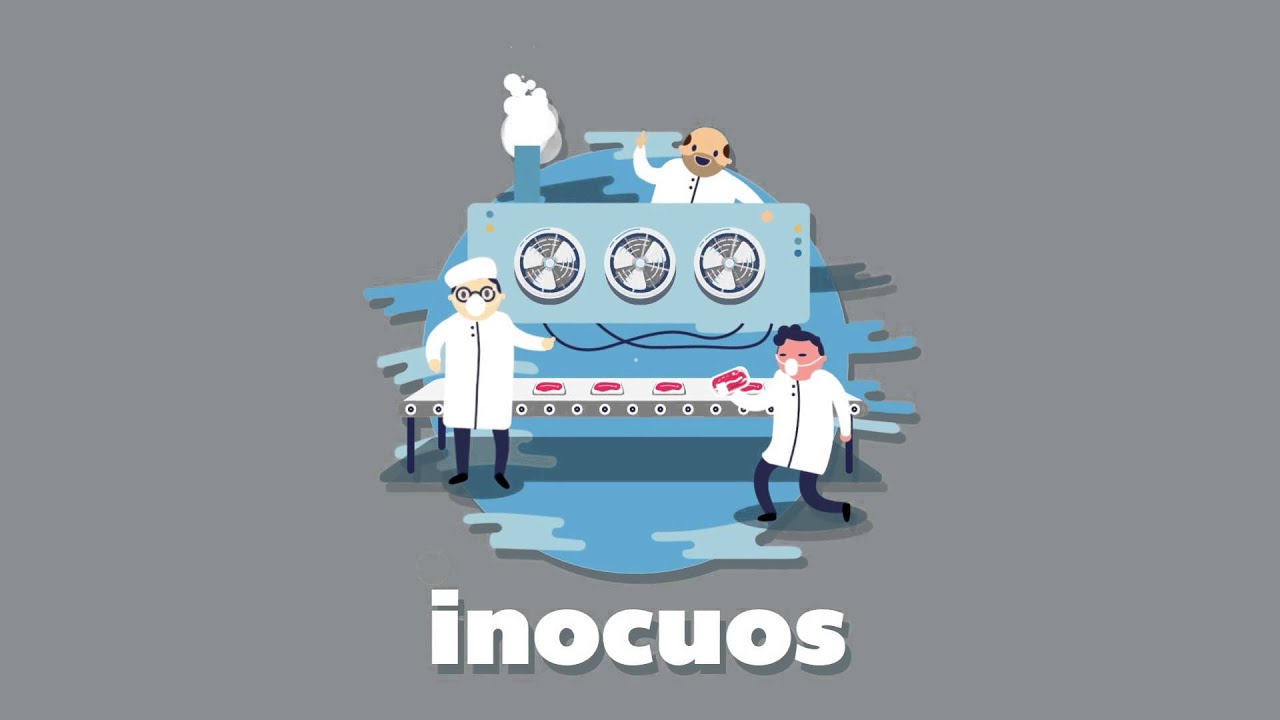 Establecimientos Tipo Inspección Federal (TIF) - YouTube