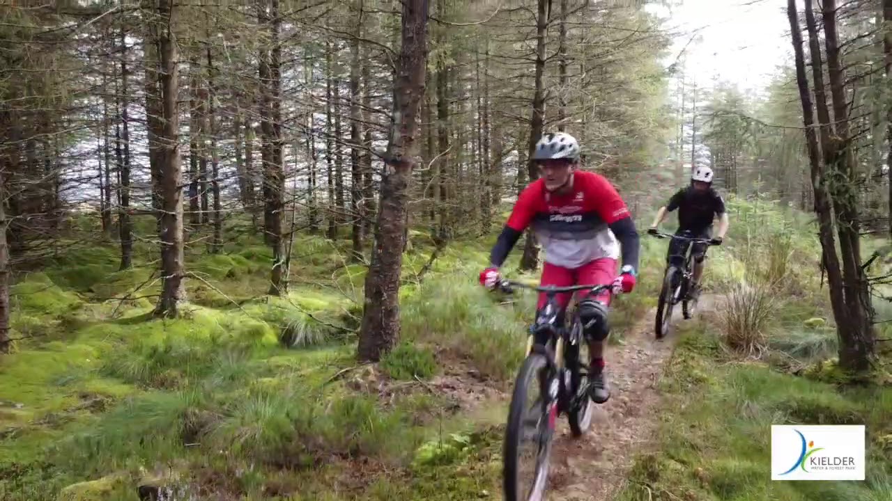 Bloody Bush MTB Red Grade Trail - YouTube