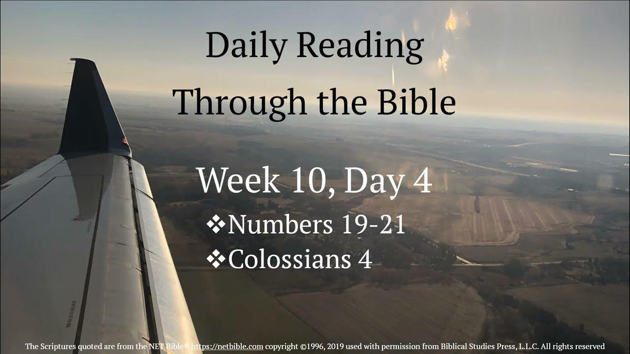 Daily Bible Week 10 Day 4 - YouTube