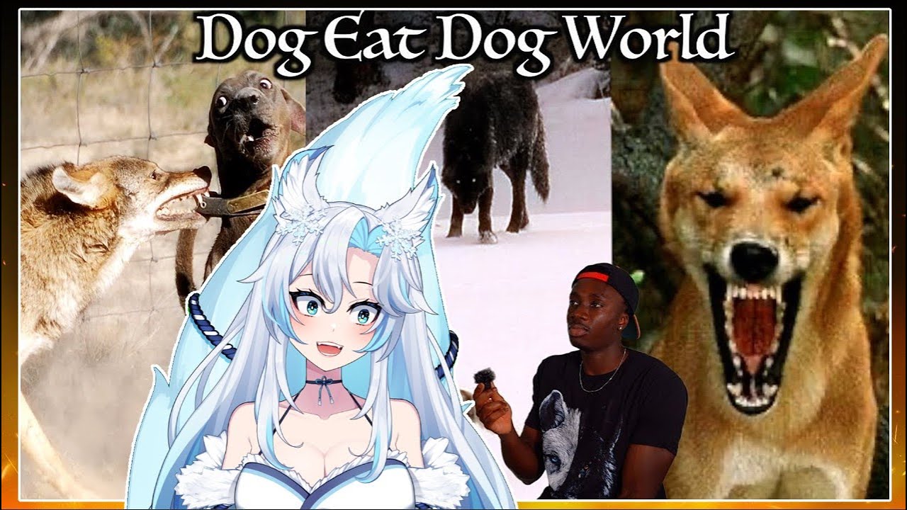 HOW DOGS TOOK OVER THE WORLD 🐶 || Casual Geographic React - YouTube