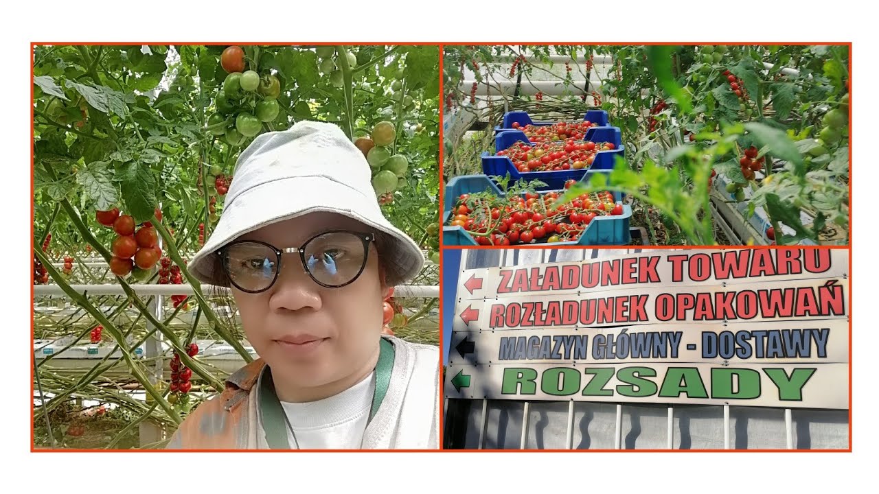 PASILIP TO MY WORKING PLACE AT POLAND @JazziVlog - YouTube