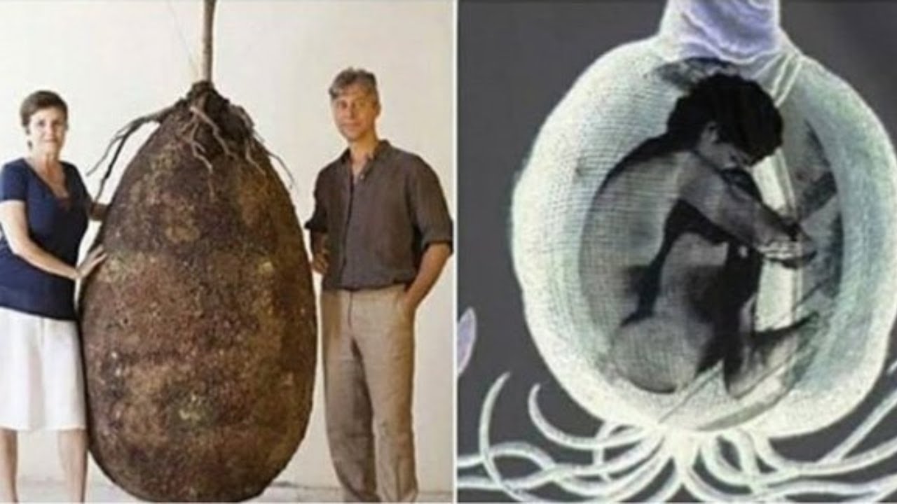 Amazing Facts to Blow Your Mind 😲 Get Ready to Be Stunned (P44) - YouTube