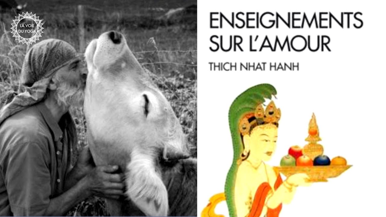 LIVRE AUDIO THICH NHAT HANH | "ENSEIGNEMENTS SUR L'AMOUR" | EN ENTIER ...