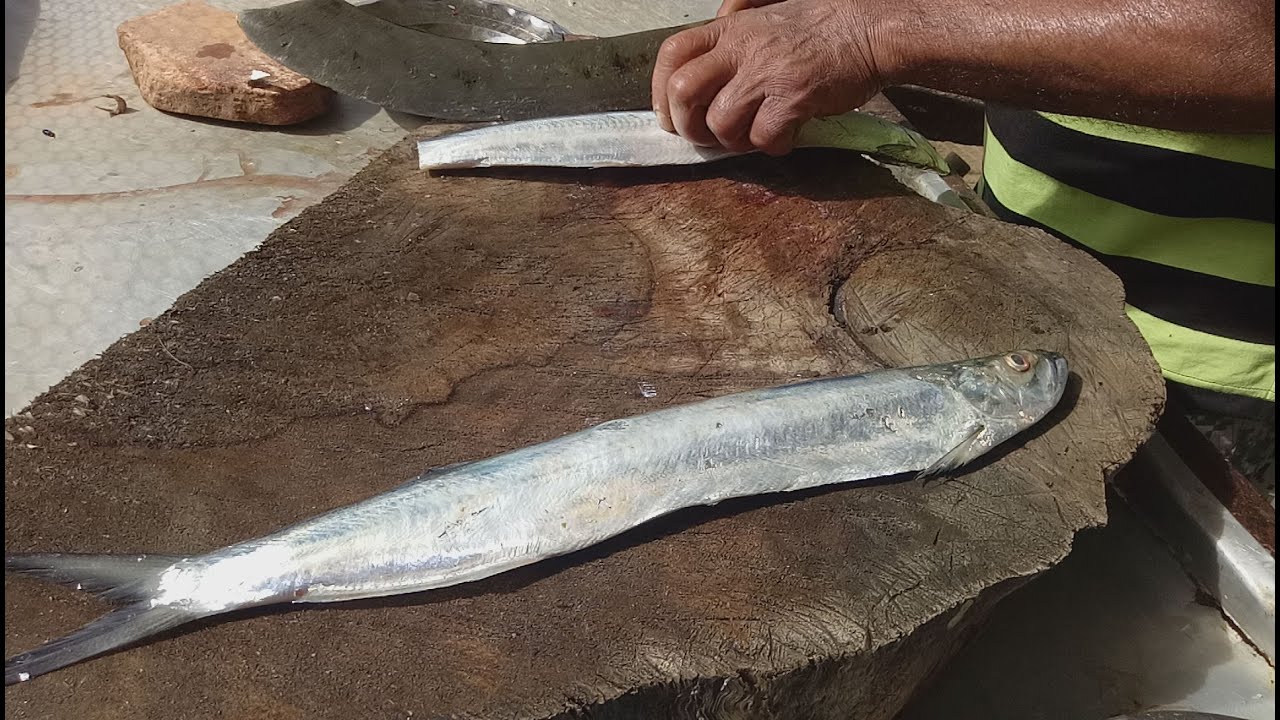 Katuwalla Fish Cutting | Silver Bar Fish | Fish Cutting Video In Fish ...