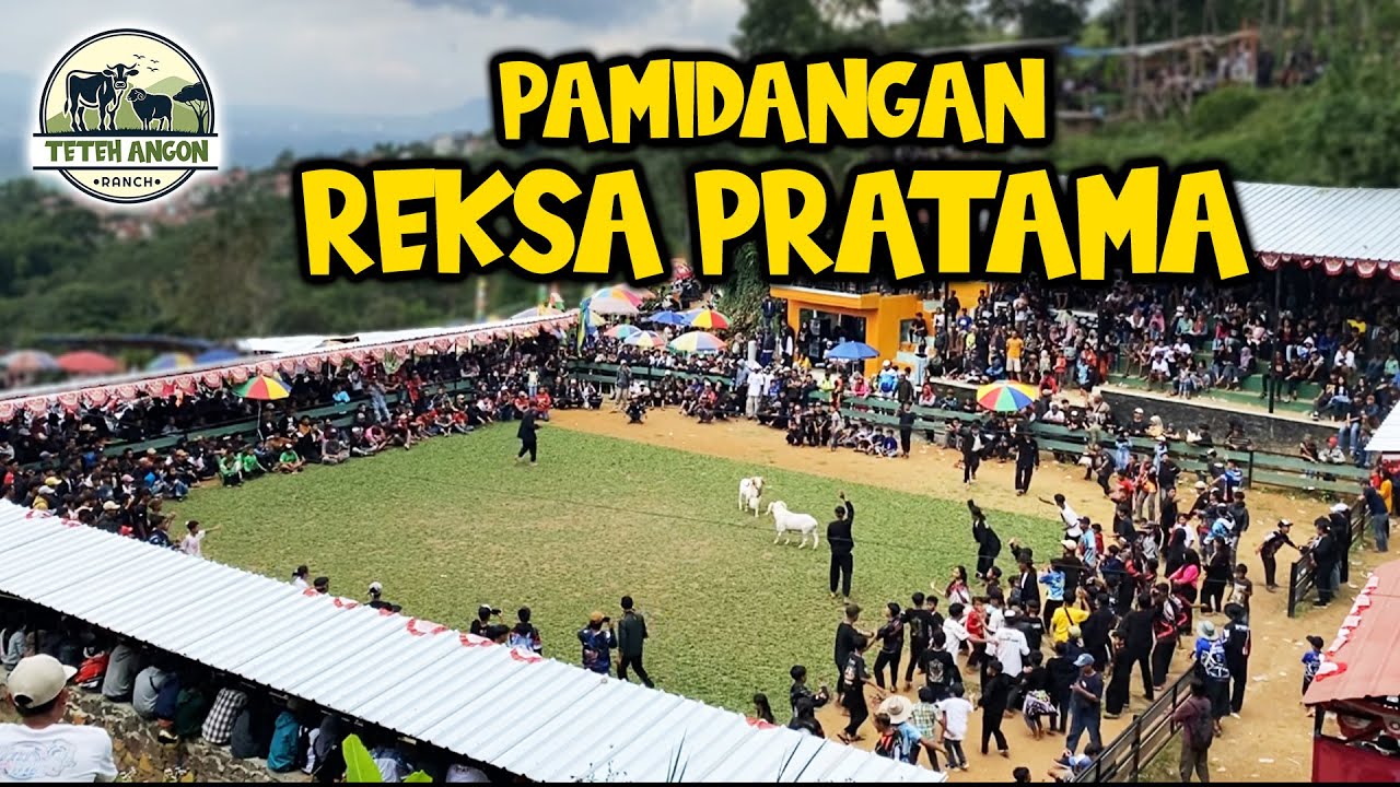 PAMIDANGAN PALING ENAKEUN BUAT PENONONTON, meski PULANG DENGAN KECEWA 😢 ...