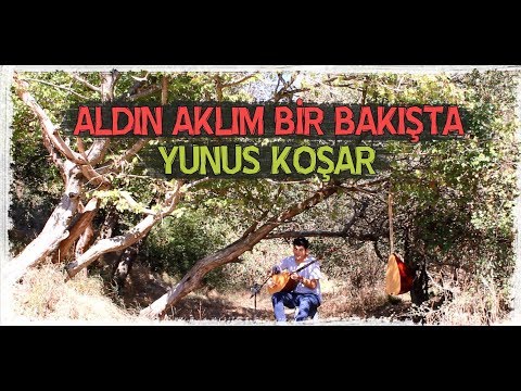 Yunus KOŞAR - ALDIN AKLIM BİR BAKIŞTA (NEŞET ERTAŞ COVER) #EVDEKAL