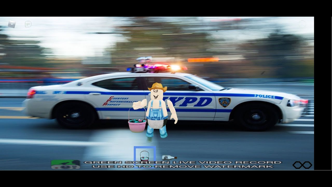 FLAMINGO GETS ARRESTED - YouTube