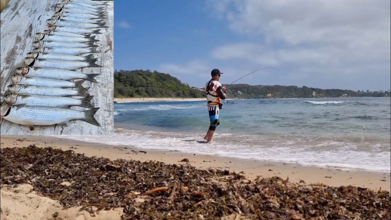 Beach & Rock fishing bagged out, Catch & Cook - YouTube