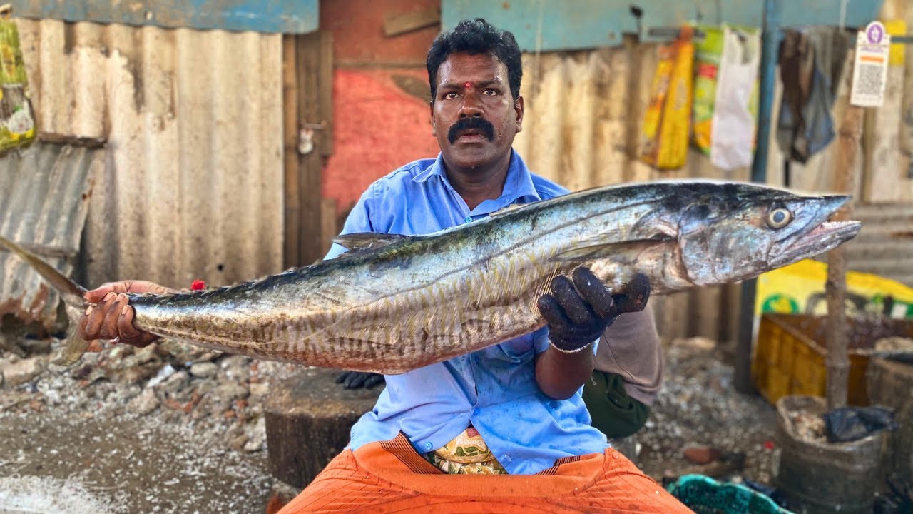 9 Kg Big Size Seer King Fish Cutting🔥🔪Kasimedu Sekar Fast Fish Cutting🔥 ...