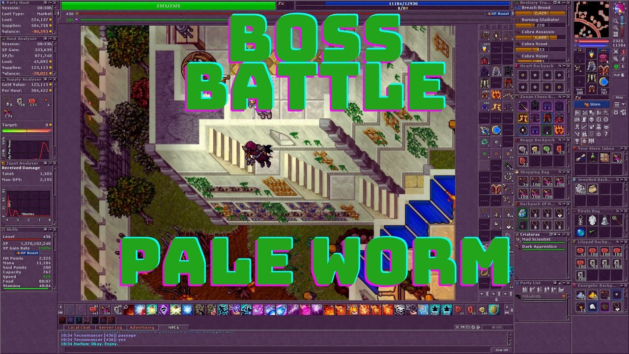 Tibia Boss Battle! The Pale Worm! "Gusano Pálido" - YouTube