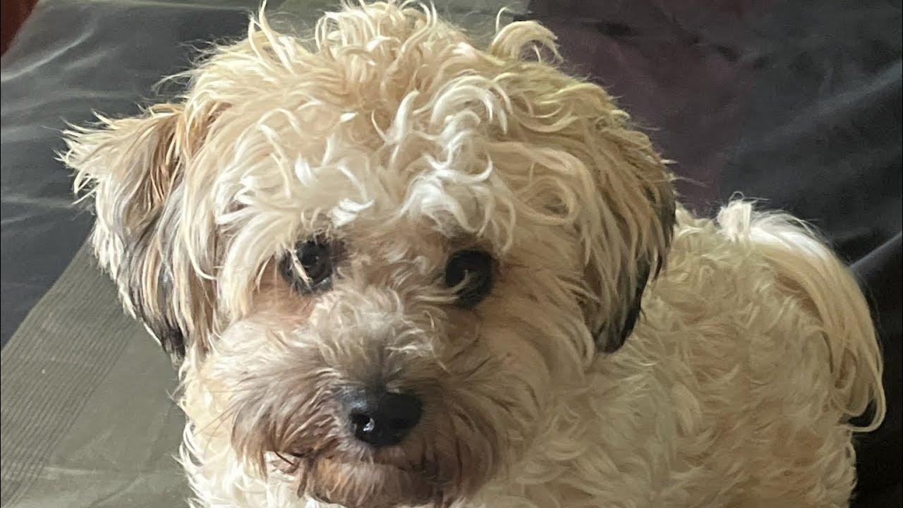 Me ripping a paper bag ! - YouTube