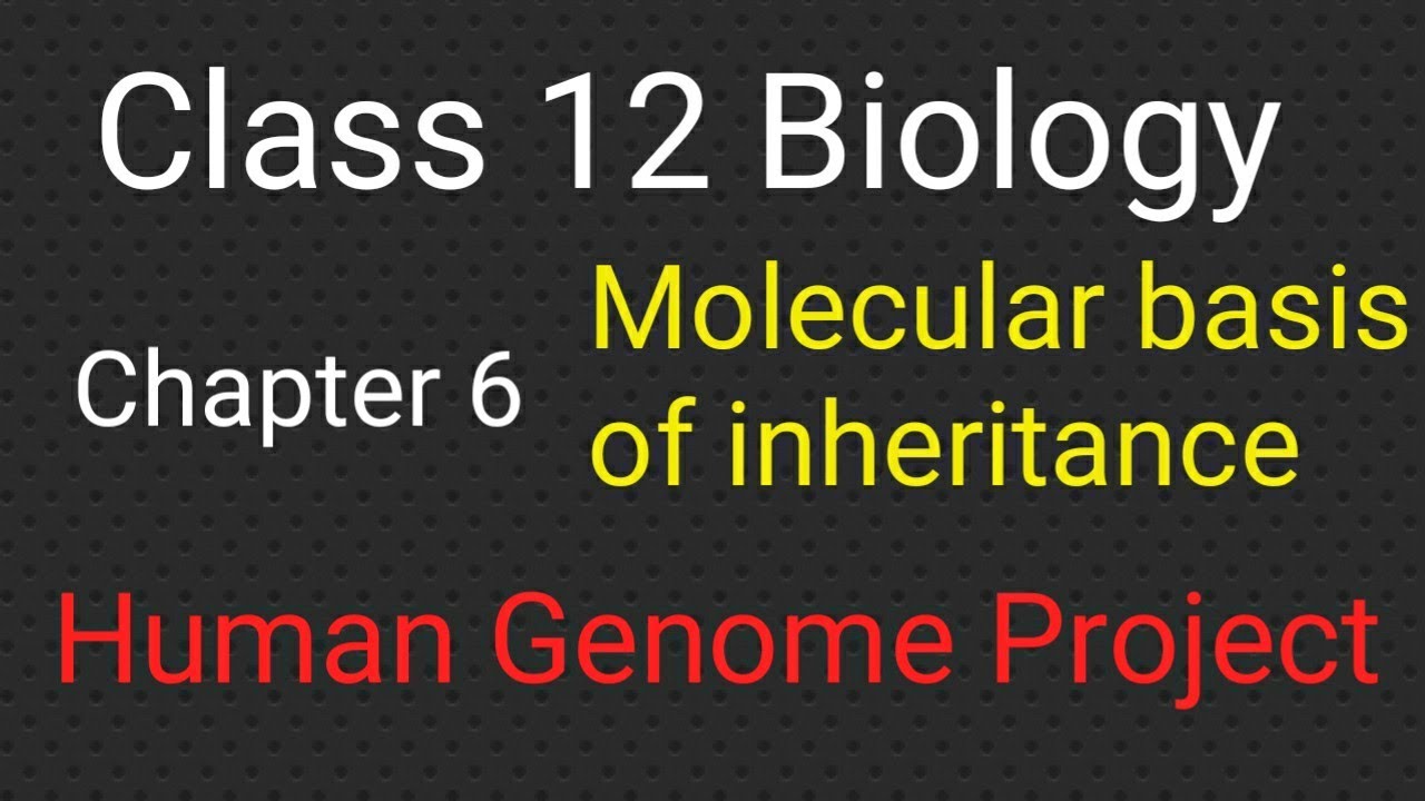 Human Genome Project, Biology class 12 Chapter 6,Molecular basis of ...