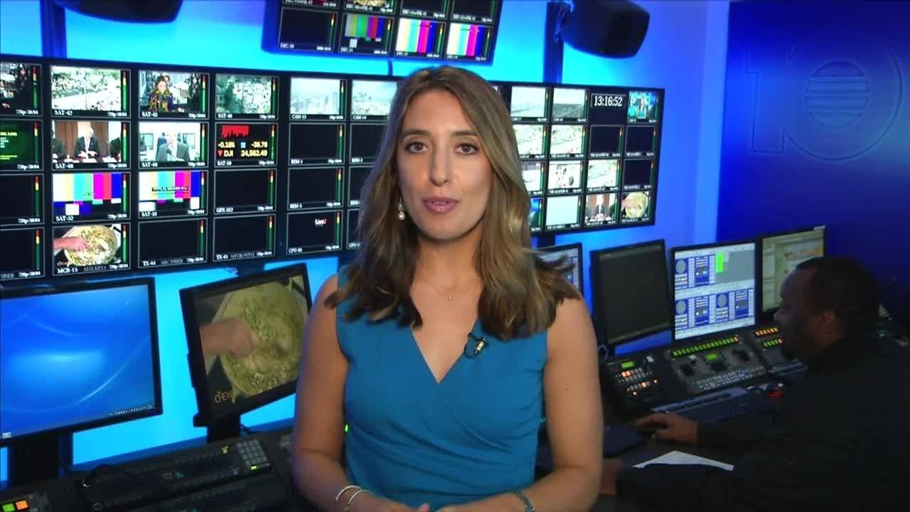 Amy Viteri answers your questions about dogs in stores - YouTube
