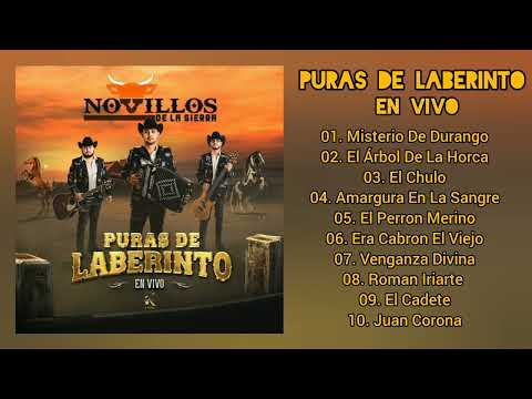 Puras De Laberinto - Novillos De La Sierra (En Vivo) 