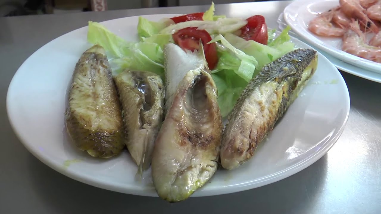 Reportaje "Albures de Coria" - Programa Especial Feria de Coria 2015 ...