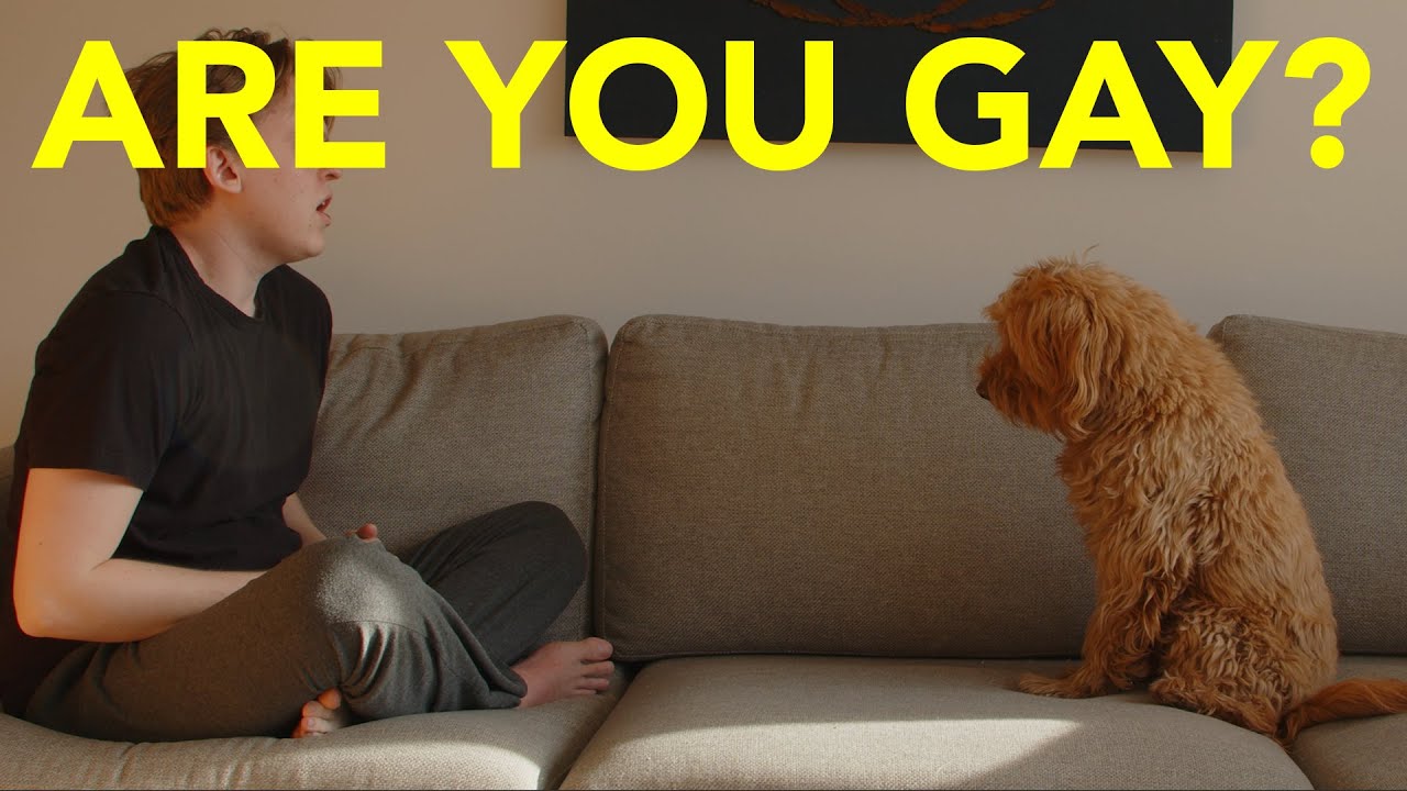 Asking My Dog Questions - YouTube
