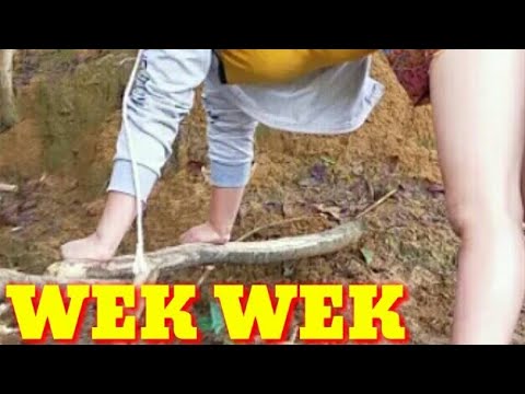 Lagi gituan di hutan || bikin gak tahan