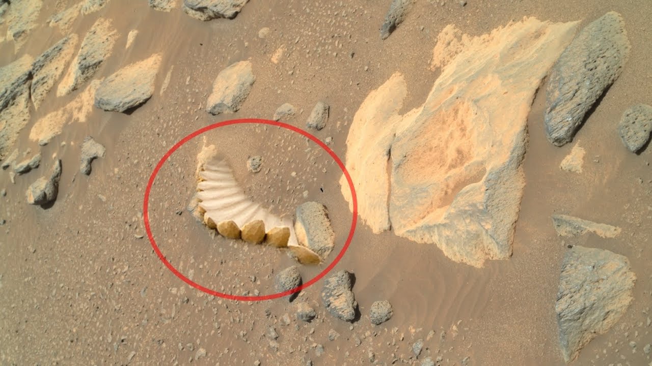 Mars Perseverance Rover Captured a New Video Footage of Mars || New ...