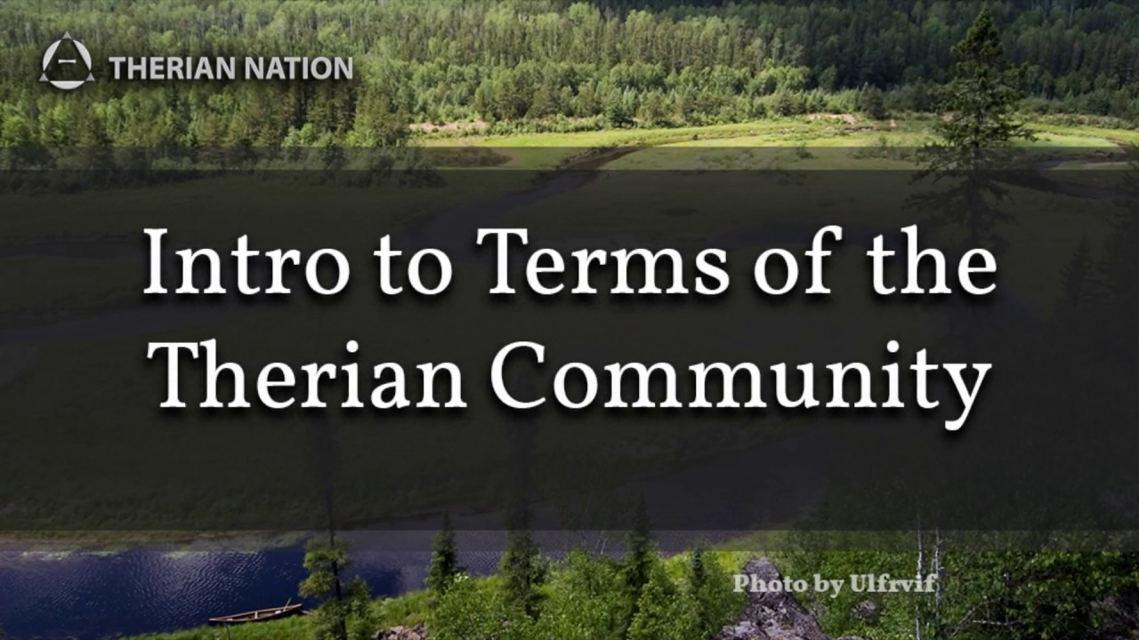 Intro to Terminology of the Therian Community - YouTube