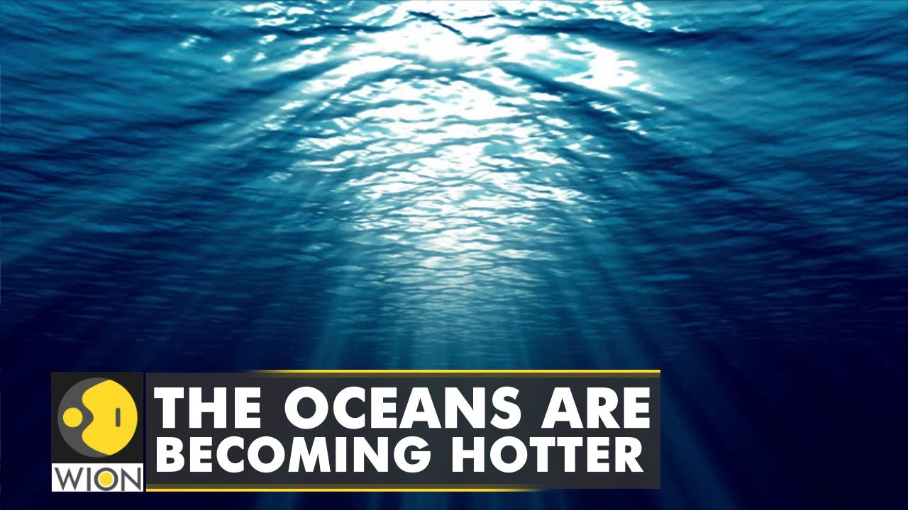 Study: Oceans 'passed point of no return' in 2014 | Marine Life ...