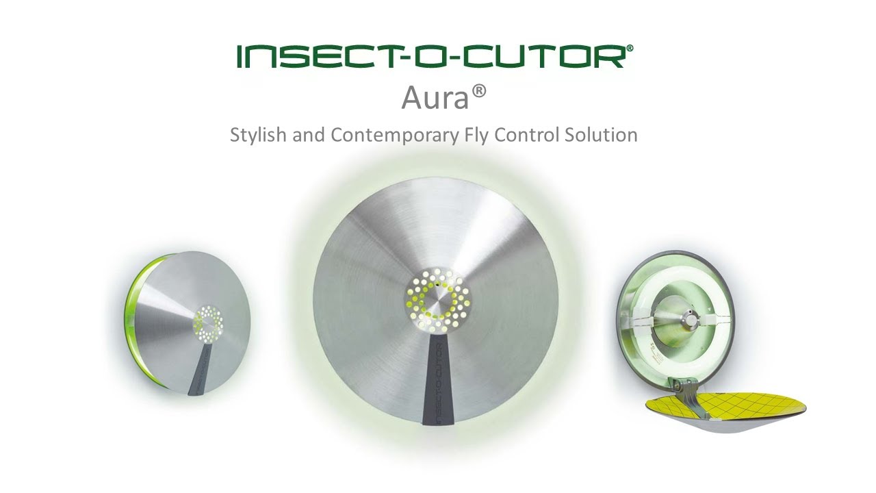 Insect-O-Cutor Aura Decorative Flykiller - Stylish and Contemporary Fly ...