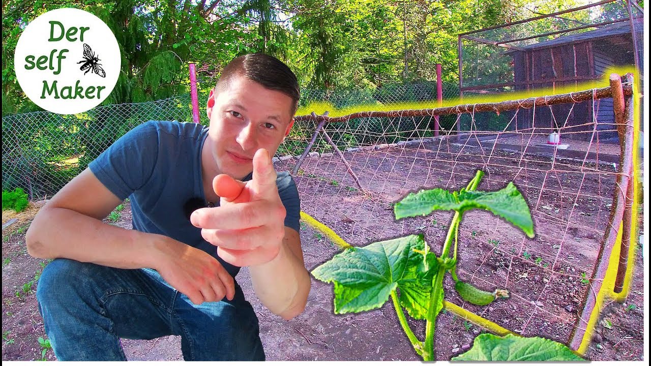 Im Selbstversorger-Garten | Rankgerüst selber bauen | Rankhilfe selber bauen | Der self Maker ...