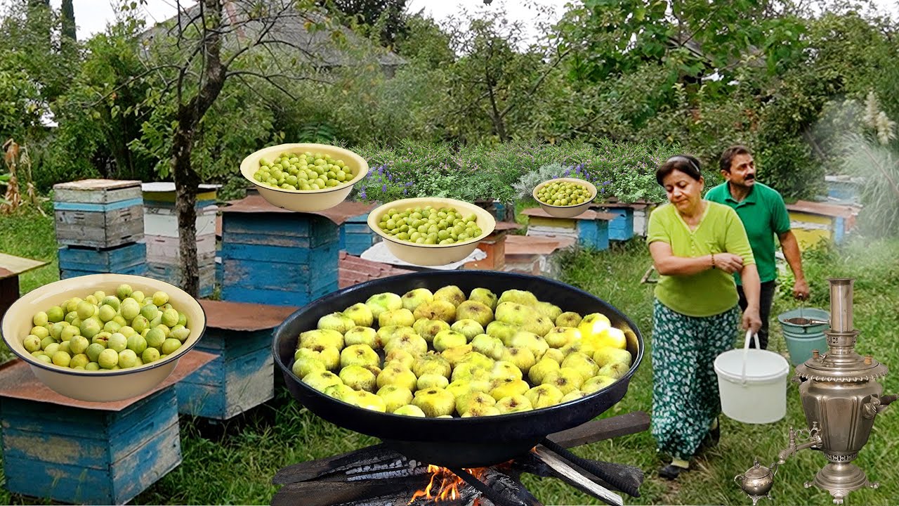 Harvesting Figs | Making Fig Jam, Dried Fig and Fig Dessert in the ...