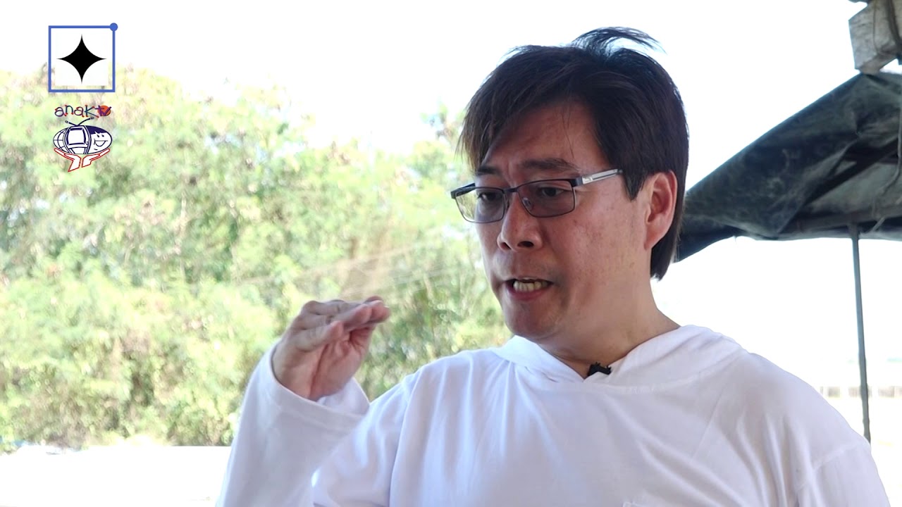 DOSTv Episode 772 - DOSTv ExperTalk: Carcar Prawn Farm - YouTube