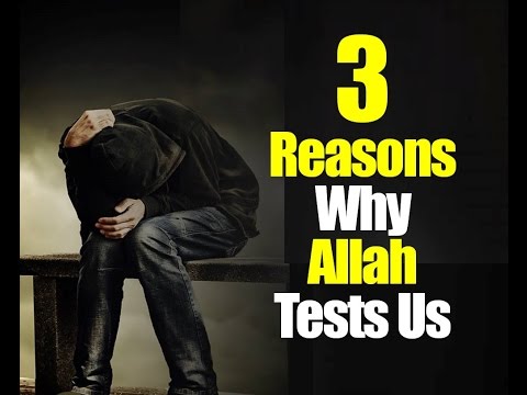3 Reasons Why Allah Tests Us - Ali Hammuda