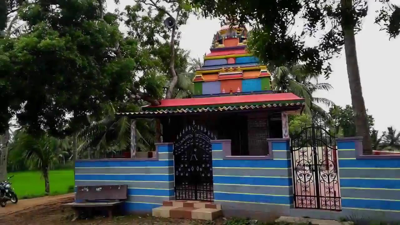 Village atmosphere in Andhra Pradesh | Beauty of our Godavari Districts ...