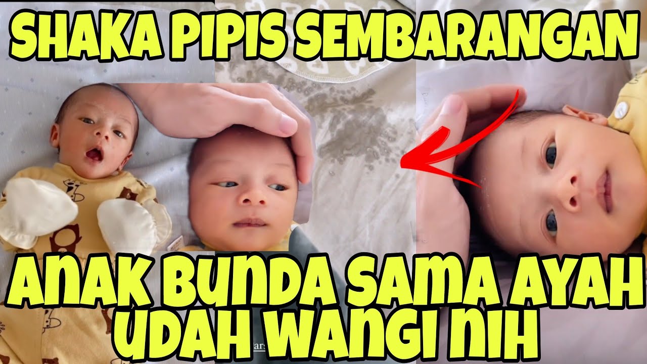 SHAKA PIPIS SEMBARANGAN - YouTube