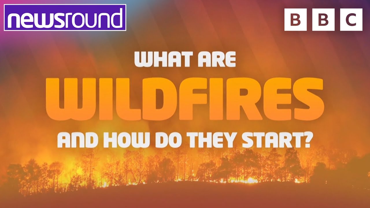 Wildfires: Everything You Need to Know | Explainer | Newsround - YouTube