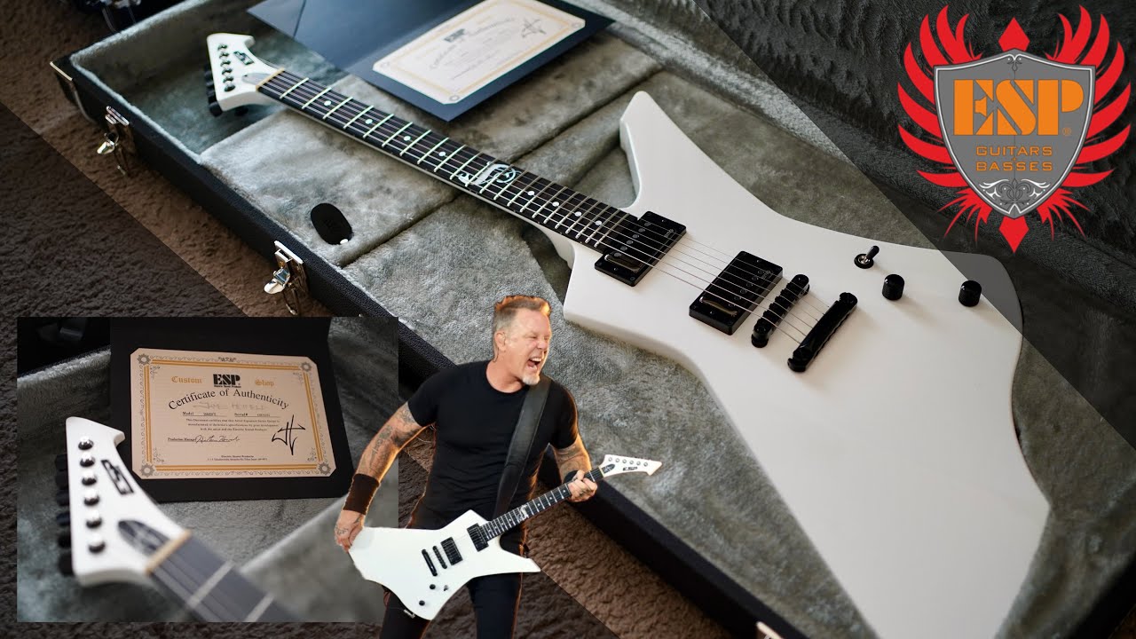 ESP SNAKEBYTE - Quick Unboxing and some riffs #metallica #espsnakebyte ...