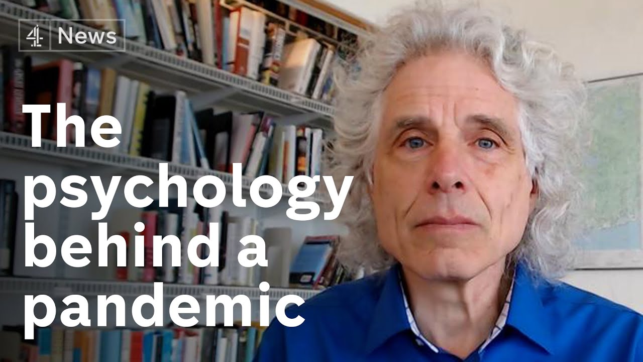 The psychology behind a pandemic - Acclaimed psychologist Steven Pinker ...