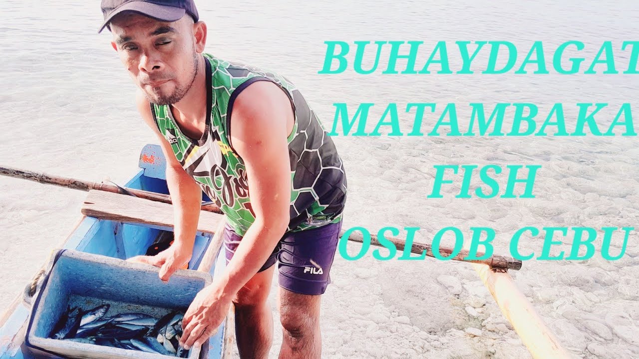 Buhaydagat netfishing traps matambaka fish kunting blessings po#fishing ...