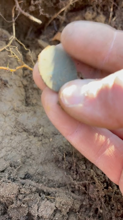 Awesome 1700’s Relics Metal Detecting a Colonial CT. Cellar Hole w. Nokta Legend Treasure ...